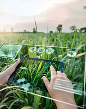 Home Page - Jordan Gate